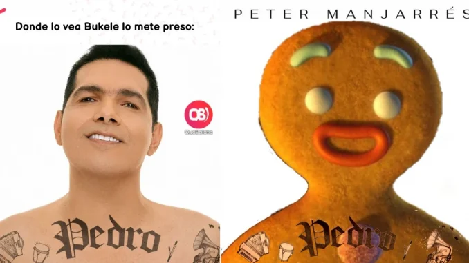 El álbum de Peter es tendencia por los memes